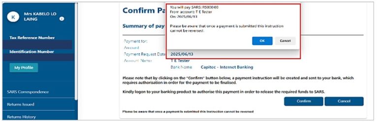 How to eFile Your Provisional Tax Return | South African Revenue Service
