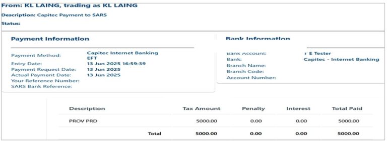 How to eFile Your Provisional Tax Return | South African Revenue Service