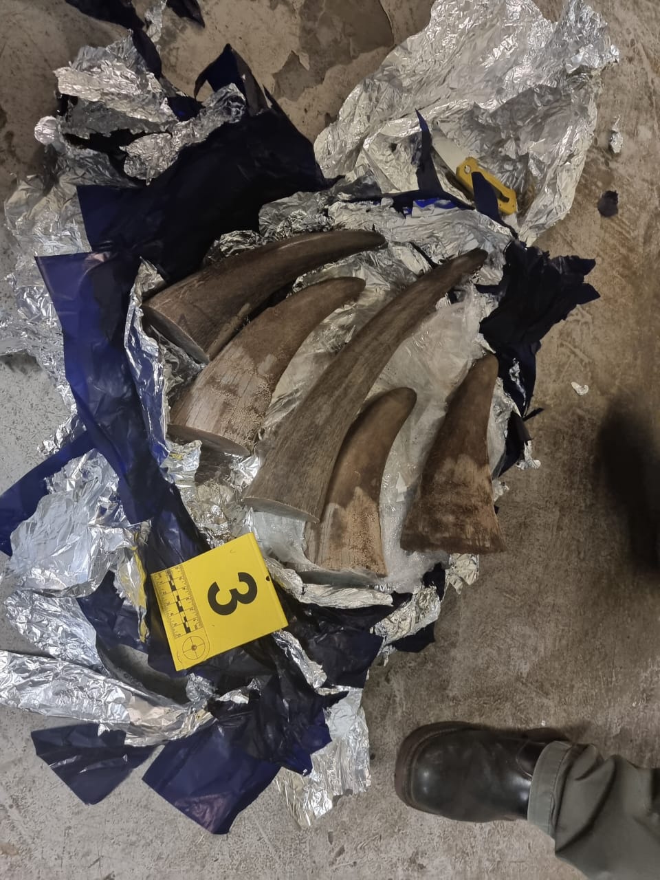 SARS Customs intercepts rhino horn at OR Tambo | South African Revenue ...