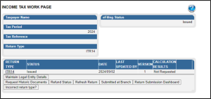 Guide to Complete the Company Income Tax Return ITR14 via eFiling ...