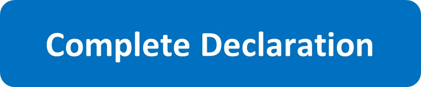 Customs Online Traveller Declaration | South African Revenue Service