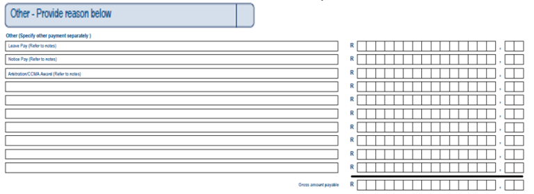 Completion Guide for IRP3(a) and IRP3(s) Forms | South African Revenue ...