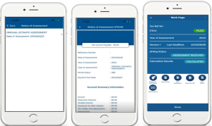 Guide on how to submit your Individual Income Tax Return (ITR12) via ...