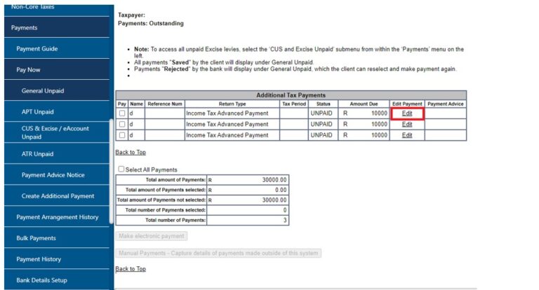 Guide to Bulk and Additional Payments on eFiling | South African ...