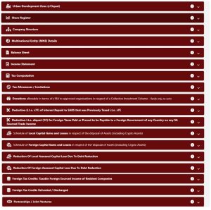 Guide to Complete the Company Income Tax Return ITR14 via eFiling ...